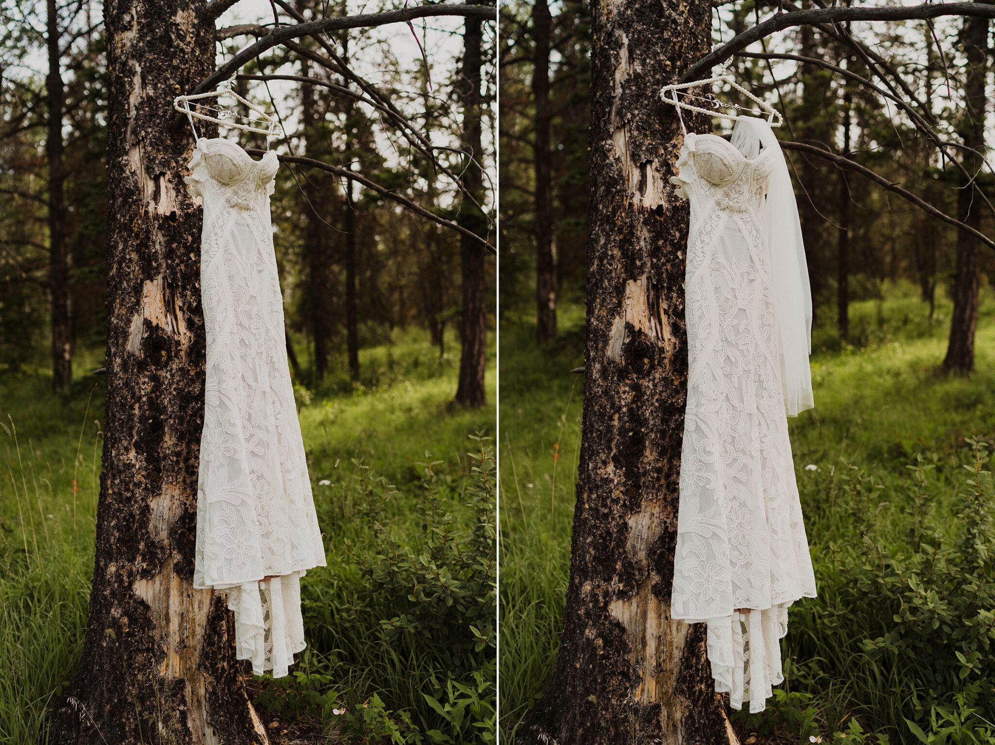 Jasper Elopement Photographer | Jorianne & Chris & Zeppelin